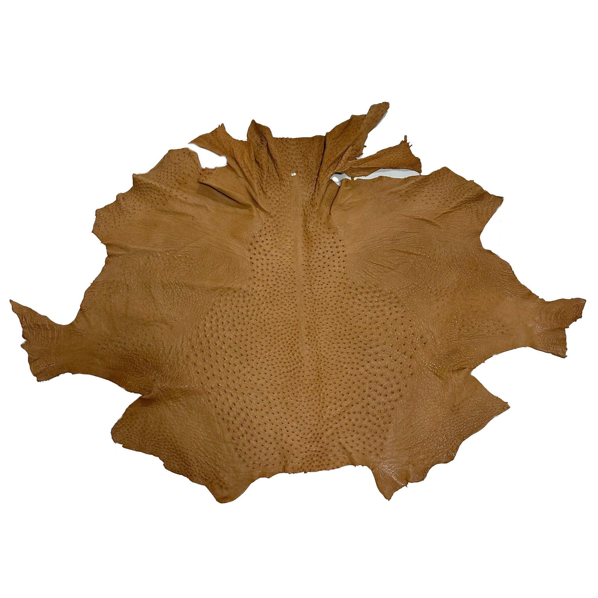 Couro de Avestruz Chestnut – Strut